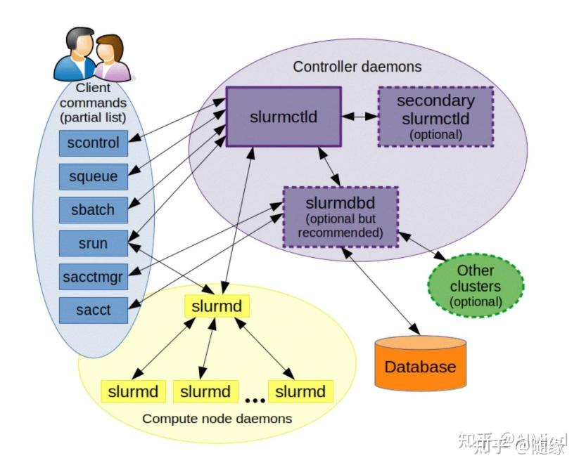 【卡间数据传输基础知识】从PyTroch到NCCL，再到RDMA、NVSHMEM - 知乎
