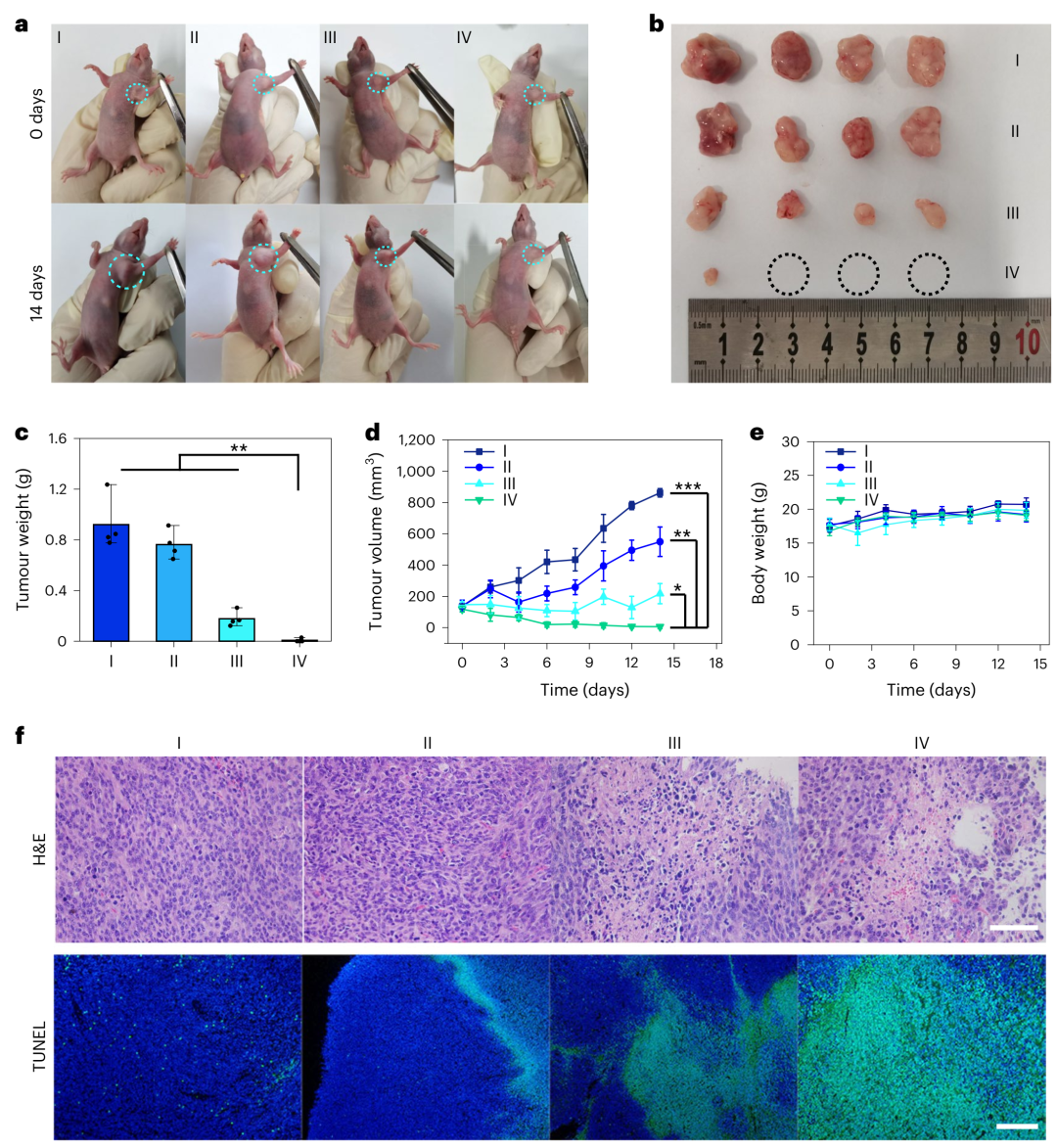 生物正交化学新突破！曲晓刚团队最新Nature Catalysis - 知乎