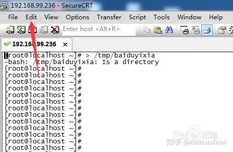 掌握这些技巧让你的 SecureCRT 好用10倍 - 知乎