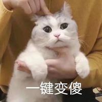 解决 H20 显卡 Torch Floating Point Exception - 知乎