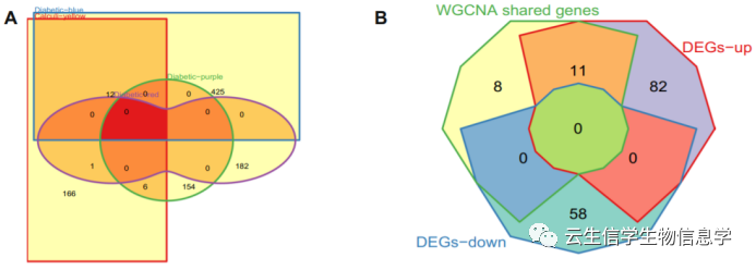 7分+双疾病纯生信分析又整新活了！整合“机器学习”标志物筛选、单基因分析和药物分子对接，思路升级不学就亏大啦！ - 知乎