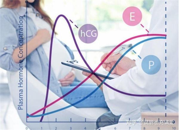 什么是HCG值?通过抽血查HCG验孕有哪些意义 - 知乎