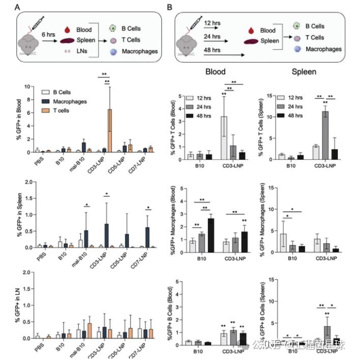 宾大团队|抗体偶联LNP(Ab-LNP)靶向T细胞递送平台开发 - 知乎