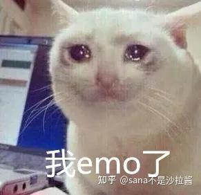 「emo，yyds，磕cp」这些网络热词用日语怎么说？ - 知乎