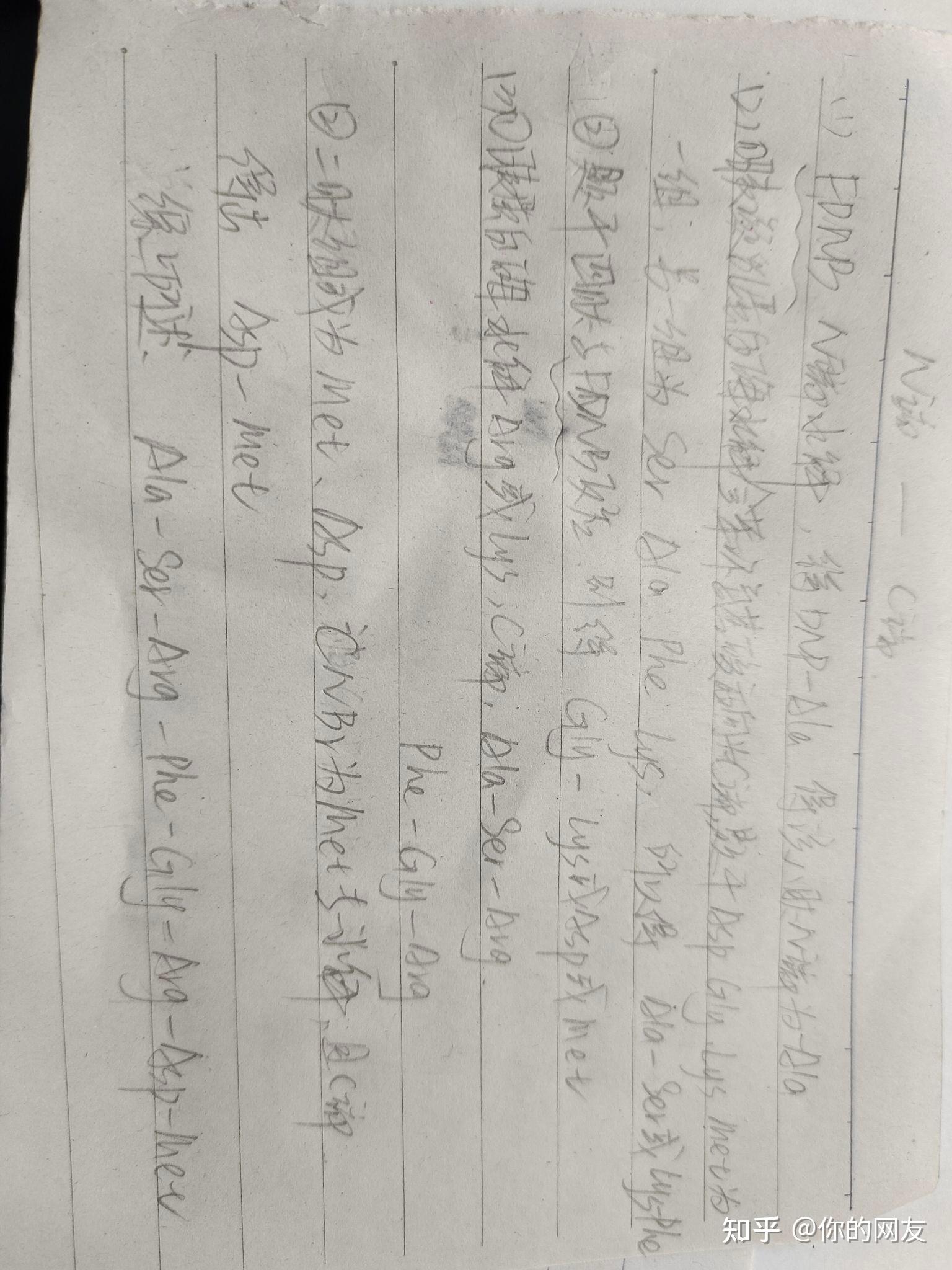 某八肽的氨基酸组成为： Asp,Ser,Gly,Ala,Met,Phe,2Lys。 ？ - 知乎