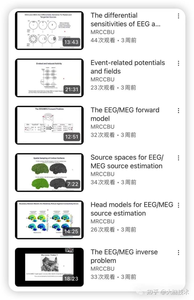 脑电/脑磁 （EEG/MEG） 教学视频——来源剑桥大学Dr.Olaf Hauk - 知乎