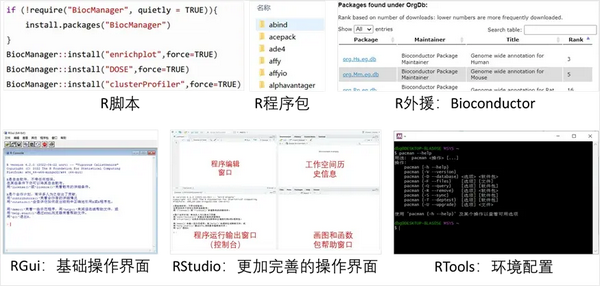 走进R语言丨开篇：初识R语言 - 知乎