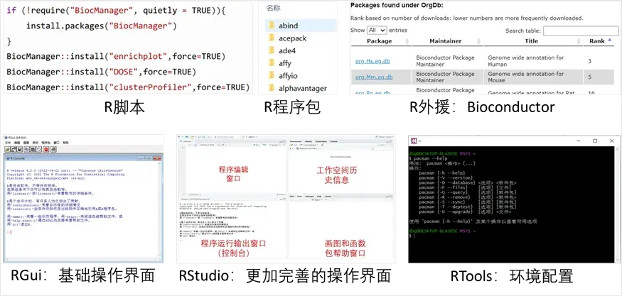 走进R语言丨开篇：初识R语言 - 知乎