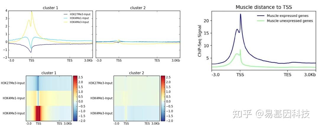 ChIP-seq应用领域、研究思路、数据挖掘、下游实验、实验关键 | 易讲堂 - 知乎