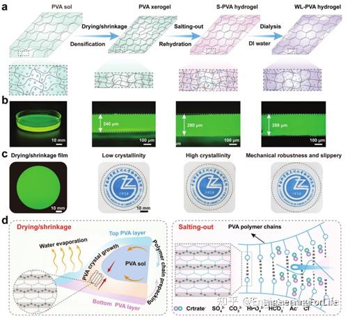 《Small》：脱水收缩与盐析作用协同结晶助PVA水凝胶更滑更强更韧 - 知乎
