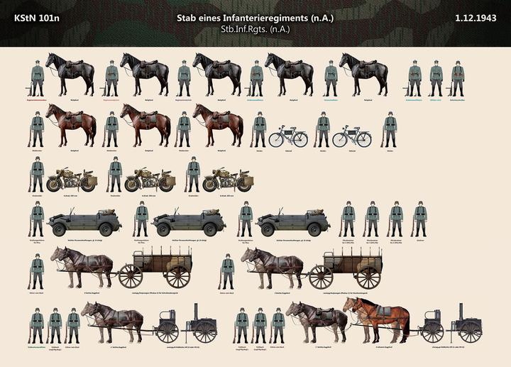 44年型步兵师步兵团（6）— 步兵团团部 (KStN 101n)、团部连 (KStN 130n) - 知乎