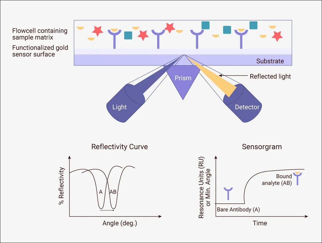 什么是 SPR检测技术？ - 知乎