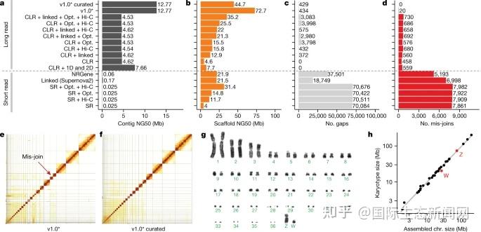 NATURE:实现所有脊椎动物物种的完整且无错误的基因组组装 - 知乎
