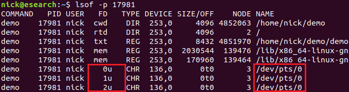 Linux 伪终端(pty) - 知乎