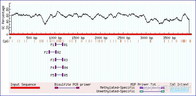 甲基化引物设计教程-以MethPrimer为例 - 知乎