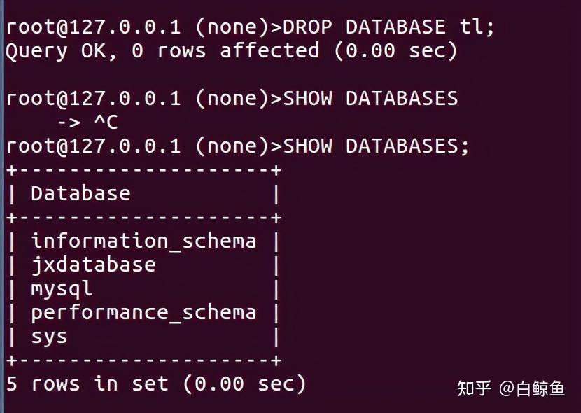【柚子编程】MySQL数据类型与操作数据表 - 知乎