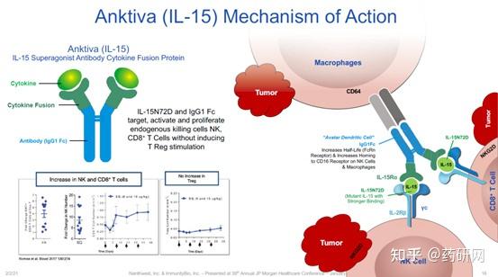 IL-15靶向药：新生代抗癌之光? - 知乎