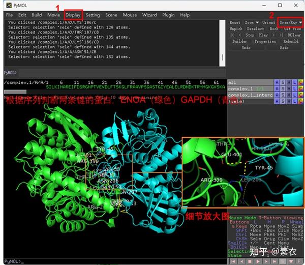 蛋白互作结构域的预测分析 - 知乎