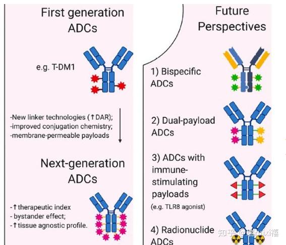 ADC抗体简介 159857-81-5 Mc-Val-Cit-PABC-PNP - 知乎