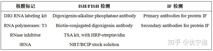 如虎添翼！IF/FISH双染究竟有多强？ - 知乎