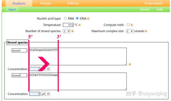NUPACK网页版使用指南 - 知乎