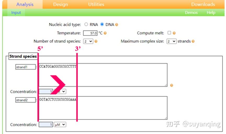 NUPACK网页版使用指南 - 知乎
