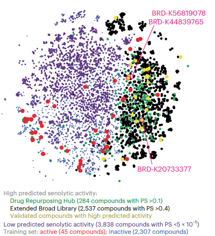 拨慢人体衰老时钟，MIT 利用 Chemprop 模型发现兼具药效与安全性的细胞抗衰化合物 - 知乎