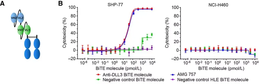 降低CD3亲和力—CD3双抗在治疗实体瘤的应用 - 知乎