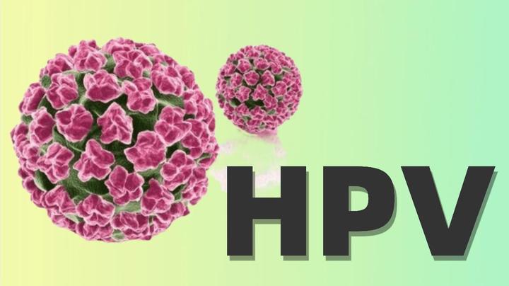 75%酒精能杀灭HPV吗？HPV劲松专家有不同看法 - 知乎