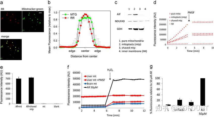 PMSF（苯甲基磺酰氟）-BIOFOUNT - 知乎