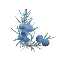 2023年青年编委招募通知|Biomedical Engineering Communications - 知乎