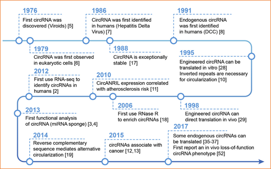 【耀文解读】综述|一文读懂：最新环状RNA(circRNA)的基础研究与治疗应用进展 - 知乎