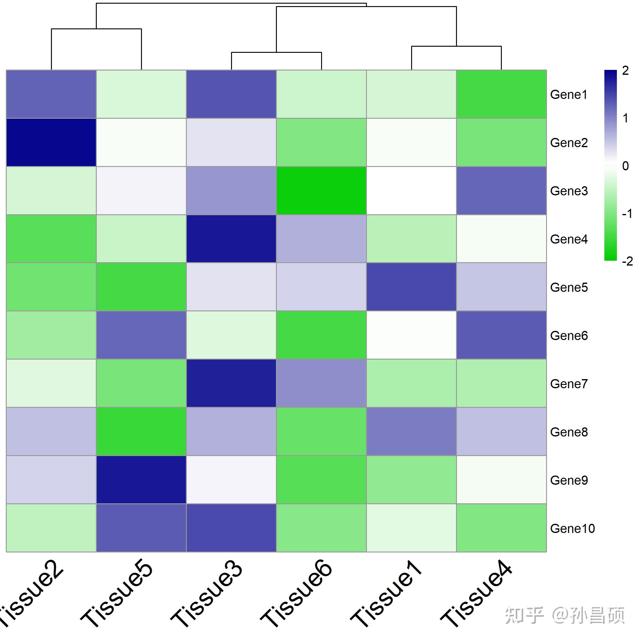 R包pheatmap绘图（数据Z-scor标准化） - 知乎