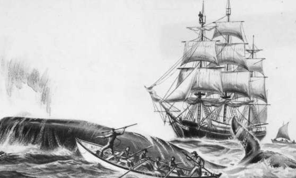 设计观｜星巴克咖啡品牌LOGO背后的故事 - 知乎