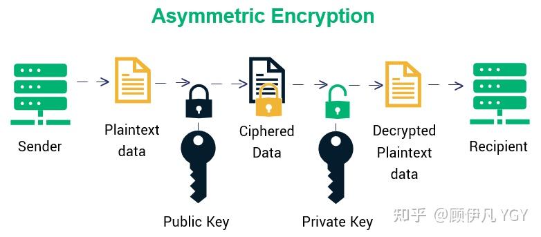 彻底搞懂HTTPS的加密原理 - 知乎