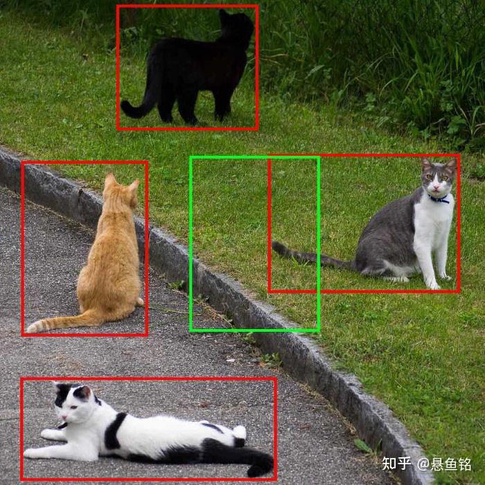 RoI Pooling 与 RoI Align 的原理 - 知乎