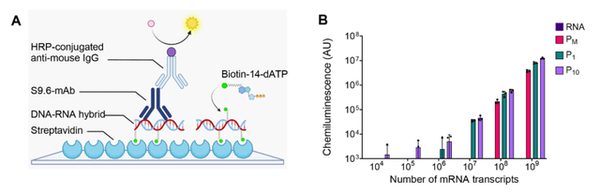 IVD新技术丨基于病原体核酸检测的ELISA方法 - 知乎