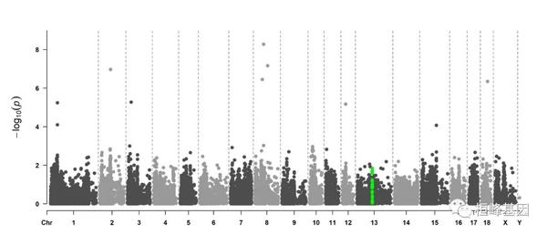 DNA 12. SCI 文章绘图之全基因组关联分析可视化(GWAS) - 知乎