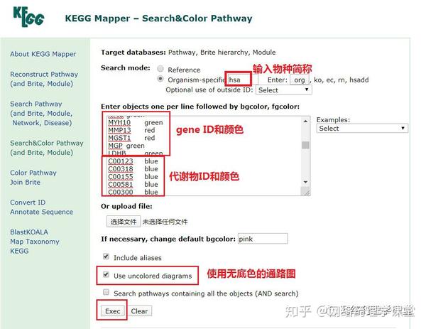 KEGG Pathway数据库在网络药理学研究中的应用 - 知乎