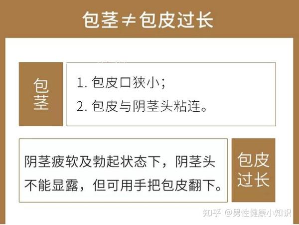 7张图带你彻底了解包皮包茎! 知乎