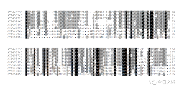 GeneDoc软件 | 让你毕业论文中的多序列比对结果清晰到爆 - 知乎