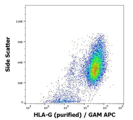 人类白细胞抗原-G(human leukocyte antigen-G，HLA-G) - 知乎