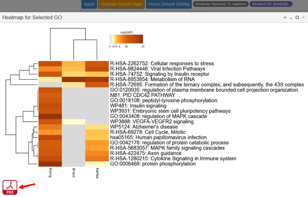 组学数据分析实操系列 | （三）Metascape零代码解锁富集分析 - 知乎