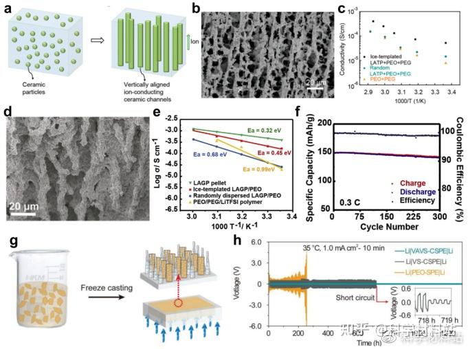 武汉理工大学徐林教授CEJ：3D框架填料在复合聚合物电解质中的研究进展 - 知乎