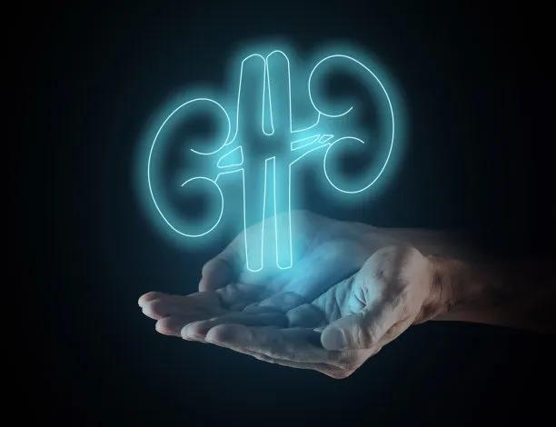 论文怎么发表:NEPHROLOGY NURSING JOURNAL - 知乎