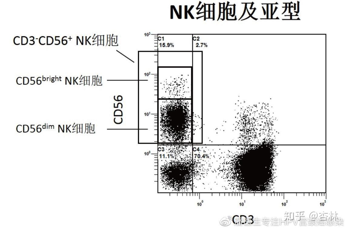 肿瘤免疫治疗时代的NK细胞治疗 - 知乎