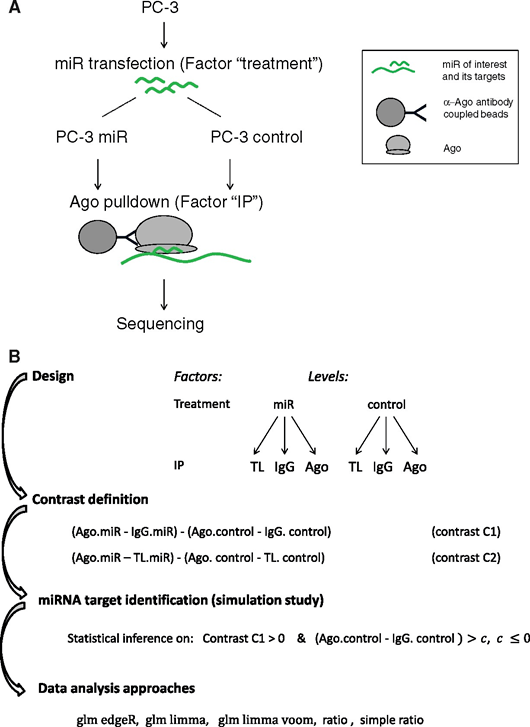microRNA靶基因研究方法汇总 - 知乎