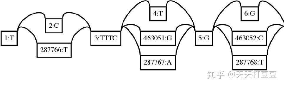 泛基因组时代分析工具-vg toolkit - 知乎