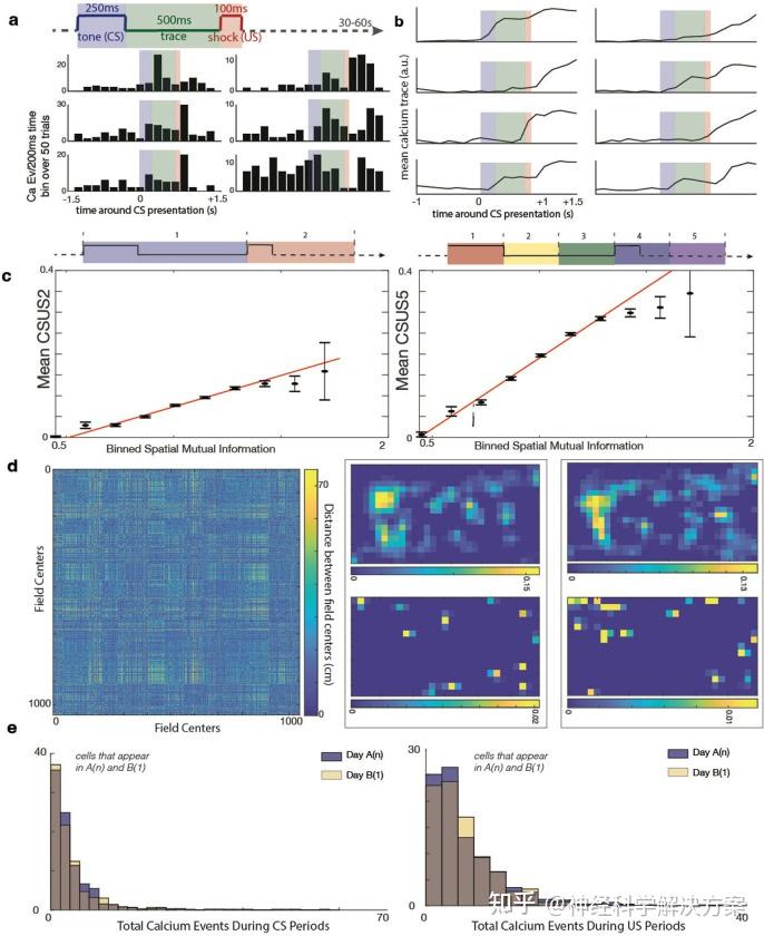 怎样使用MATLAB分析双光子钙成像suite2p的结果 ？ - 知乎