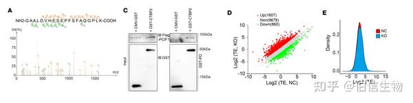 CLIP-Seq技术详解 - 知乎
